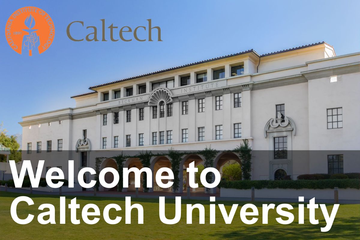 What are the 10 Largest Universities in the World? - DU Squad